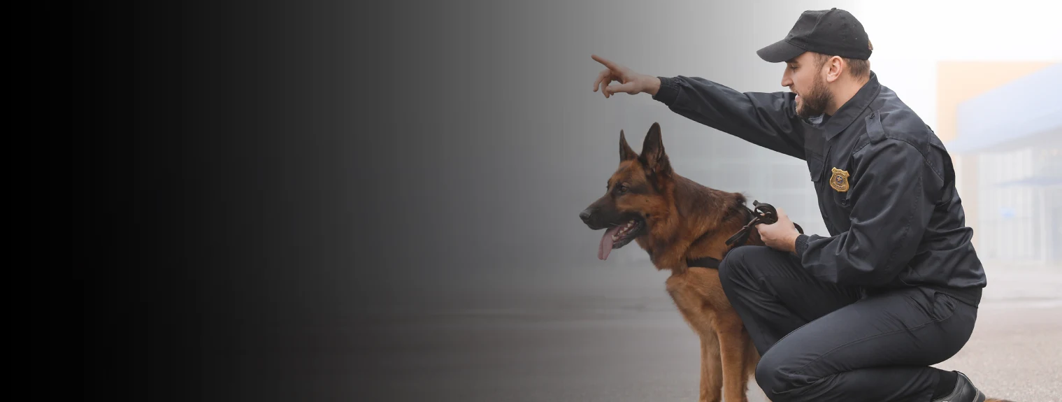 Perth Guard Dog Security Services | K9 Unit